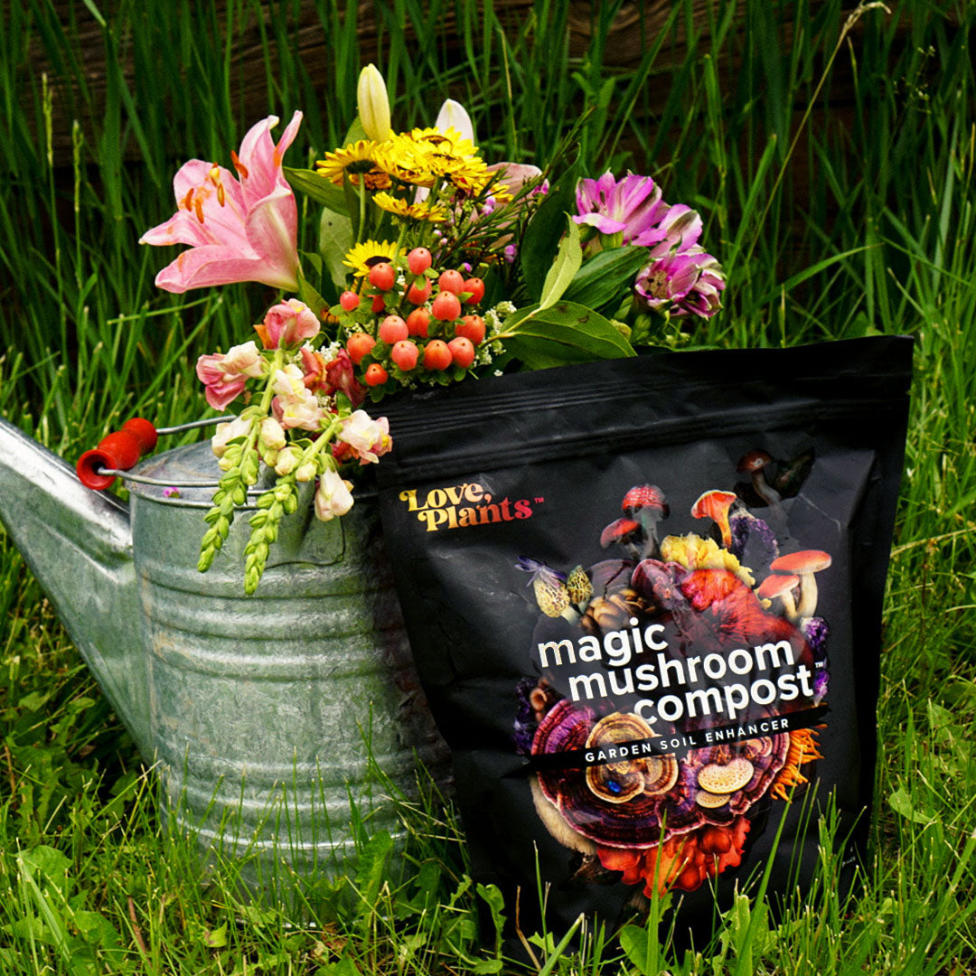 Magic Mushroom Compost | Garden Soil Amendment - Love, Plants
