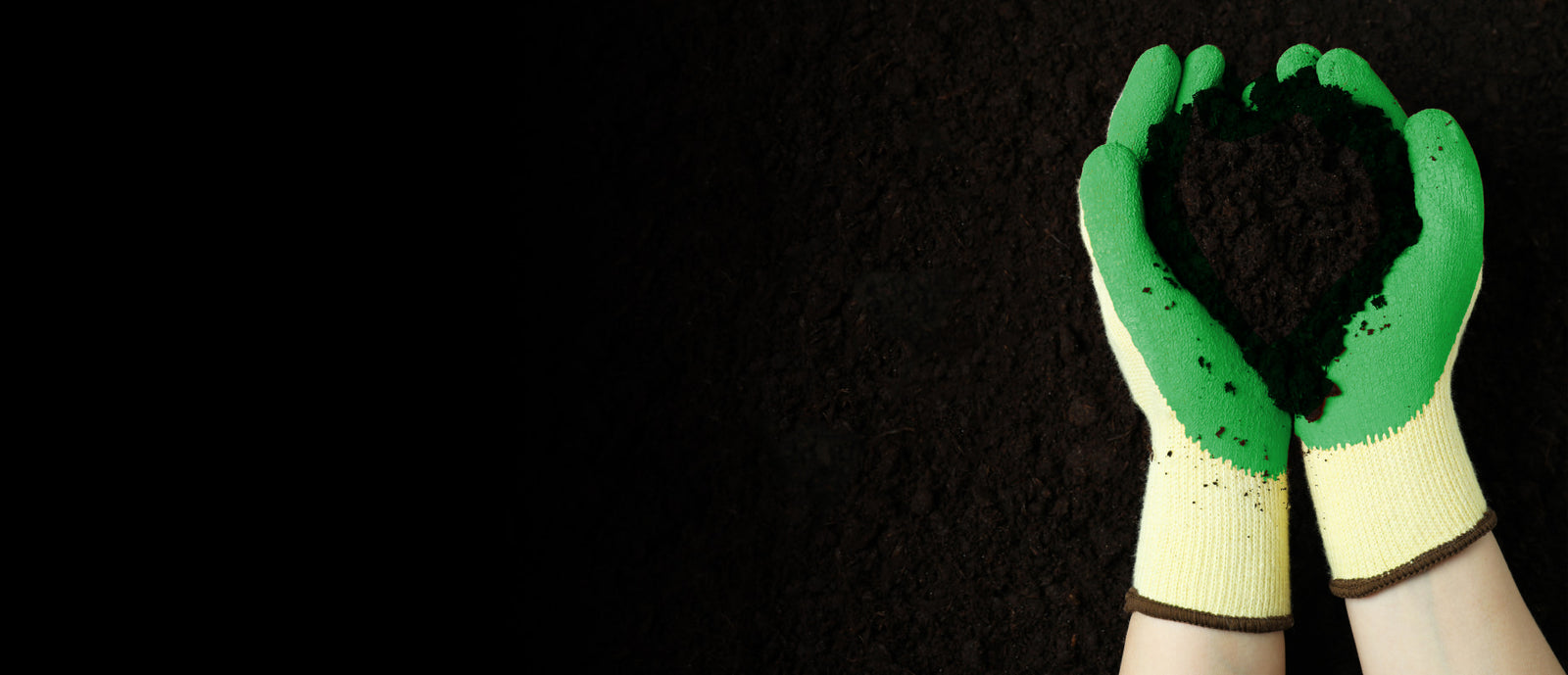 Soil Conditioning | Soil Test & Amendments - Love, Plants